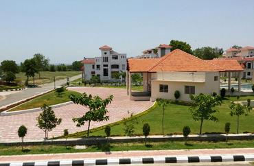 Suchirindia's Timberleaf for sale in Shamshabad, Hyderabad