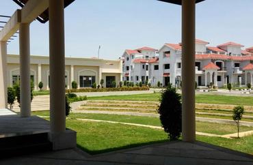 Suchirindia's Timberleaf for sale in Shamshabad, Hyderabad