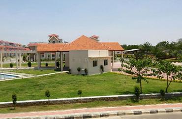 Suchirindia's Timberleaf for sale in Shamshabad, Hyderabad