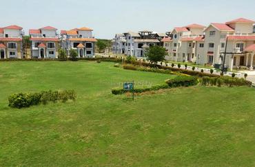 Suchirindia's Timberleaf for sale in Shamshabad, Hyderabad