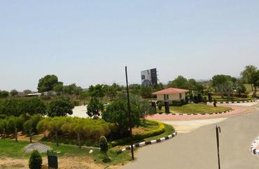 Suchirindia's Timberleaf for sale in Shamshabad, Hyderabad