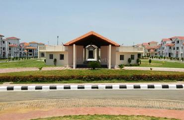 Suchirindia's Timberleaf for sale in Shamshabad, Hyderabad