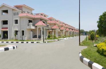 Suchirindia's Timberleaf for sale in Shamshabad, Hyderabad