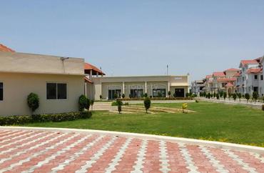 Suchirindia's Timberleaf for sale in Shamshabad, Hyderabad