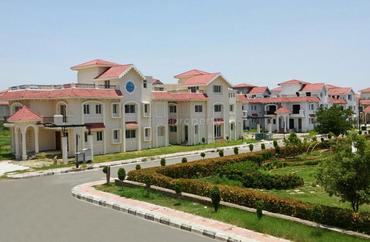 Suchirindia's Timberleaf for sale in Shamshabad, Hyderabad