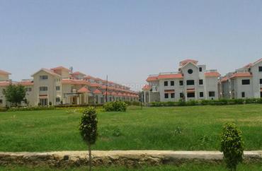 Suchirindia's Timberleaf for sale in Shamshabad, Hyderabad