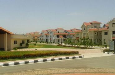 Suchirindia's Timberleaf for sale in Shamshabad, Hyderabad