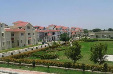 Suchirindia's Timberleaf for sale in Shamshabad, Hyderabad