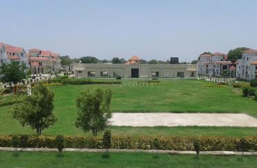 Suchirindia's Timberleaf for sale in Shamshabad, Hyderabad