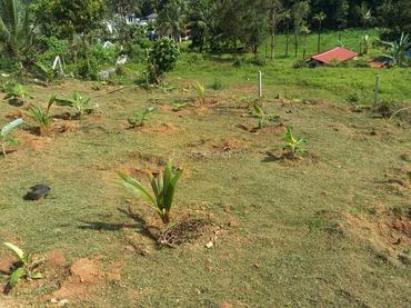 Plot Area: 15.4 Cents for 2.5 L | Plot / Land in Engapuzha, Kozhikode ...